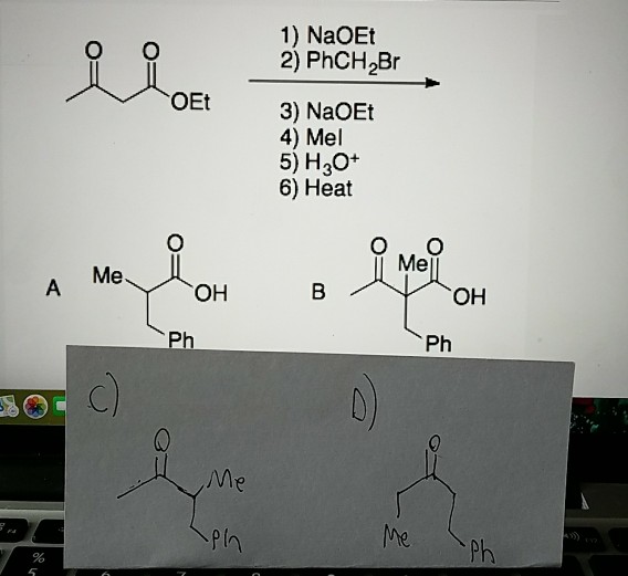 Solved 1) NaOEt 2) PhCH2Br ?OEt 3) NaOEt 4) Mel 5) H30+ 6) | Chegg.com