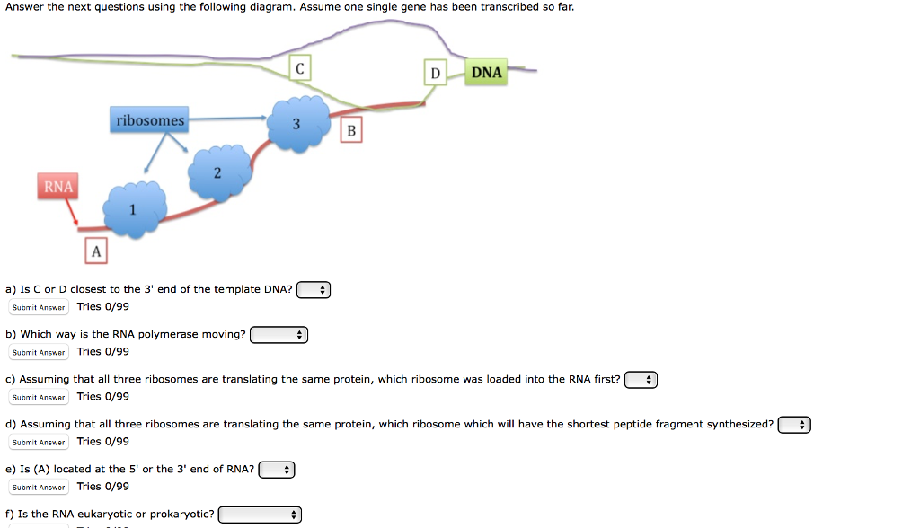Solved Answer the next questions using the following | Chegg.com
