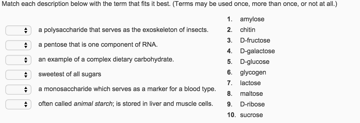 Solved Match each description below with the term that fits | Chegg.com