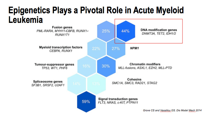 Solved Epigenetics Plays a Pivotal Role in Acute Myeloid | Chegg.com
