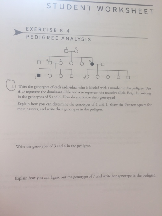 Solved Write the genotypes of each individual who is labeled | Chegg.com