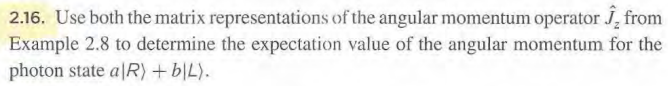Solved Use both the matrix representations of the angular | Chegg.com