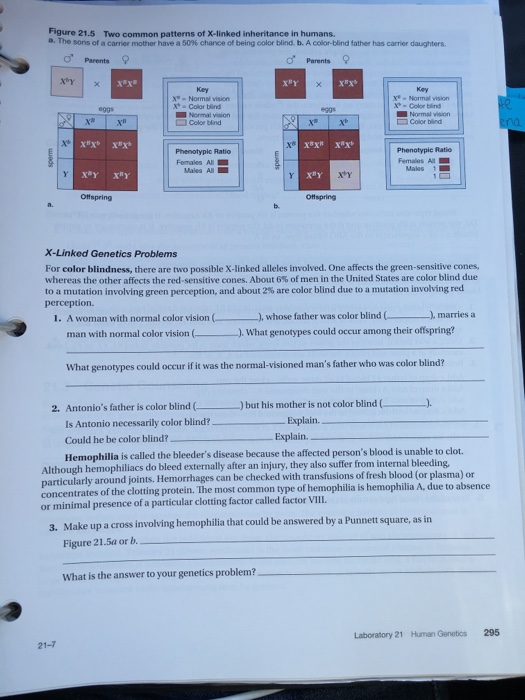 Solved Autosomal Dominant and Recessive Traits Figure 21.2 | Chegg.com