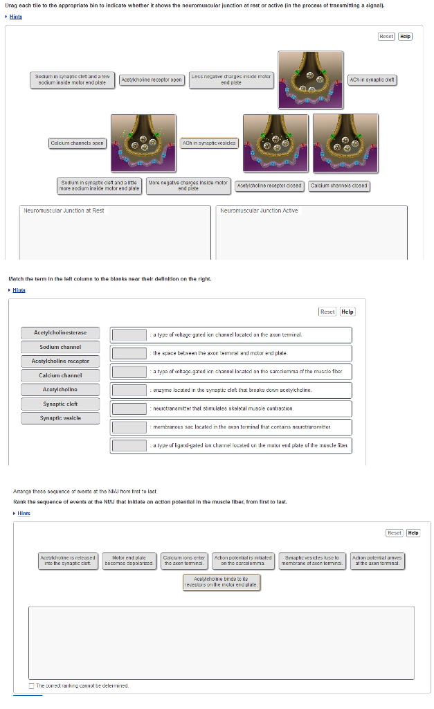 Solved Drag each tile to the appropriate bin to indicate | Chegg.com