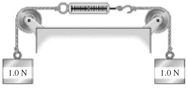 Spring Scale Reading