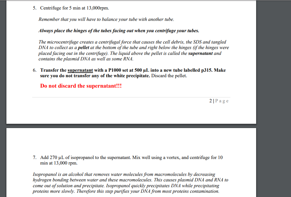 Solved LAB # 5: DNA STRUCTURE, PLASMID DNA EXTRACTION AND | Chegg.com