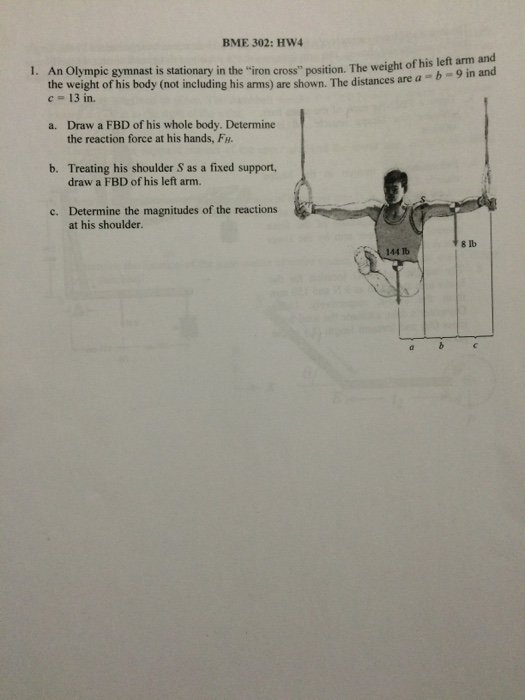 Solved An Olympic gymnast is stationary in the "iron cross" | Chegg.com