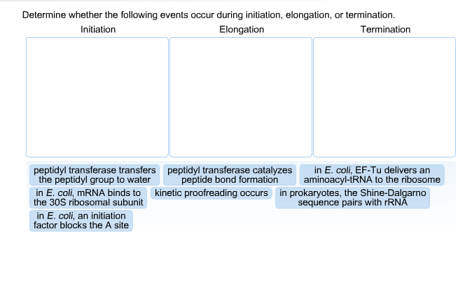 Solved Determine whether the following events occur during | Chegg.com