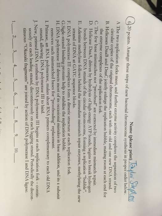 Solved Name (please print ayla 6 20 points. Arrange these | Chegg.com