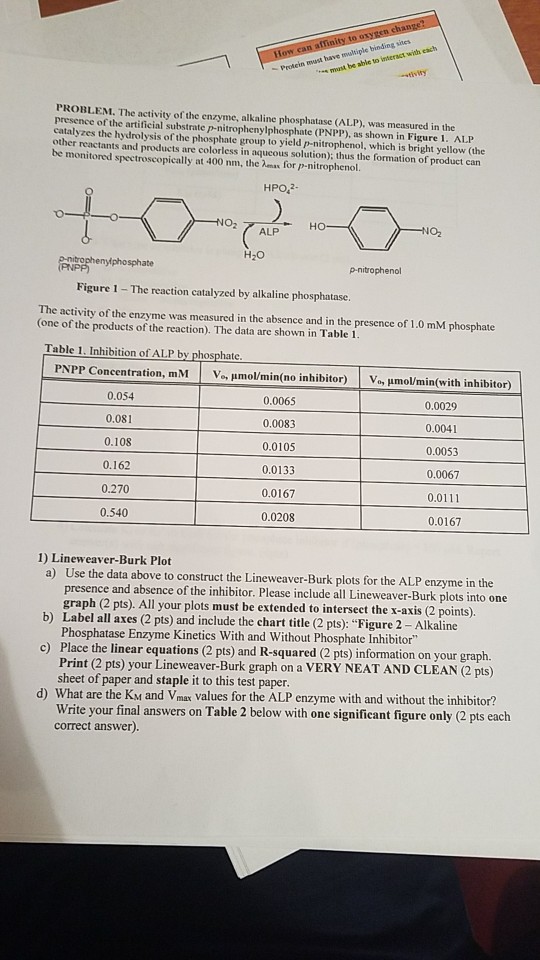 P Nitrophenyl Phosphate Hydrolysis To P Nitrophenol