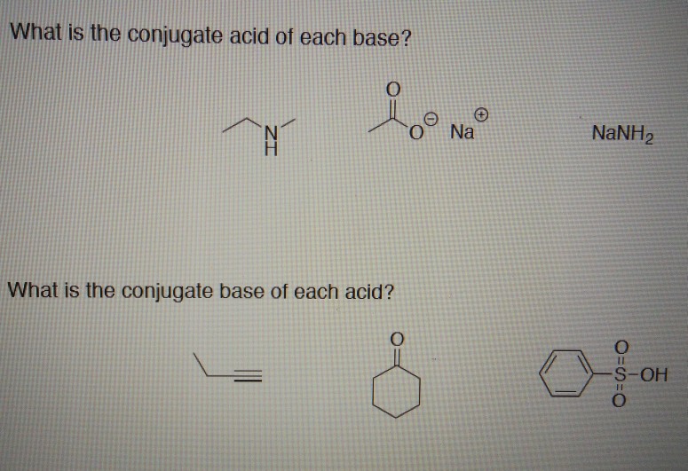 Solved What are the conjugate acids of the above bases, and | Chegg.com