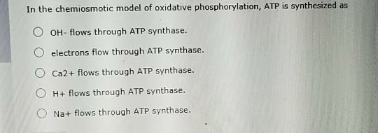Solved In the chemiosmotic model of oxidative | Chegg.com