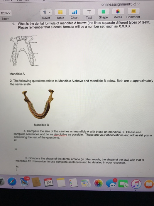 Solved What is the dental formula of mandible A below: (the | Chegg.com