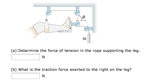 Solved Determine the force of tension in the rope supporting | Chegg.com