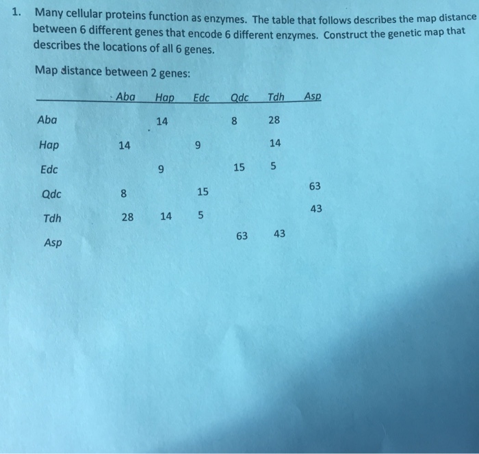 Solved Many cellular proteins function as enzymes. The table | Chegg.com
