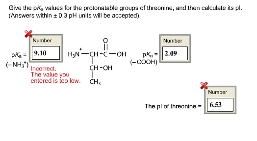Solved Give the pKa values for the protonatable groups of | Chegg.com