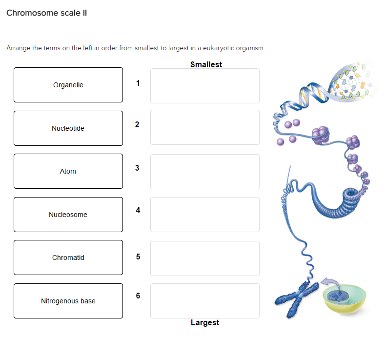 Biology Archive | May 28, 2017 | Chegg.com