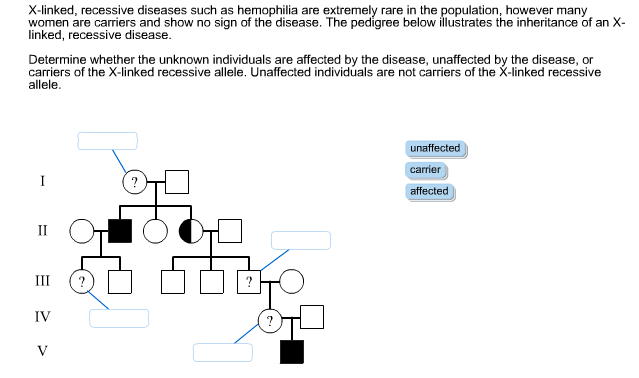 Solved X-linked, recessive diseases such as hemophilia are | Chegg.com