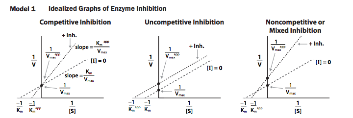 Solved How does the value of Vmax for the enzyme compare to | Chegg.com