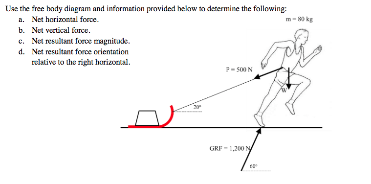 Net Force Diagram