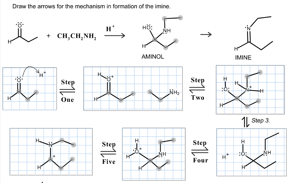 Solved Draw the arrows in the mechanism for hydrolysis of an | Chegg.com