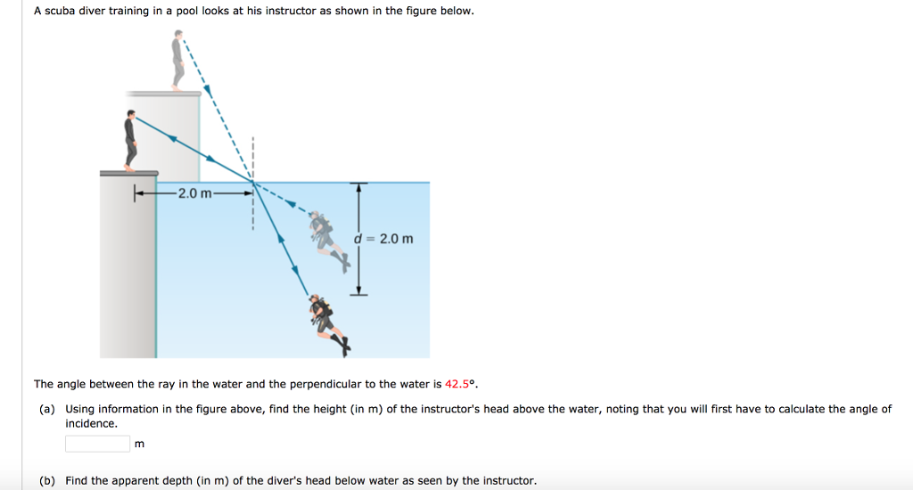 Solved A scuba diver training in a pool looks at his | Chegg.com