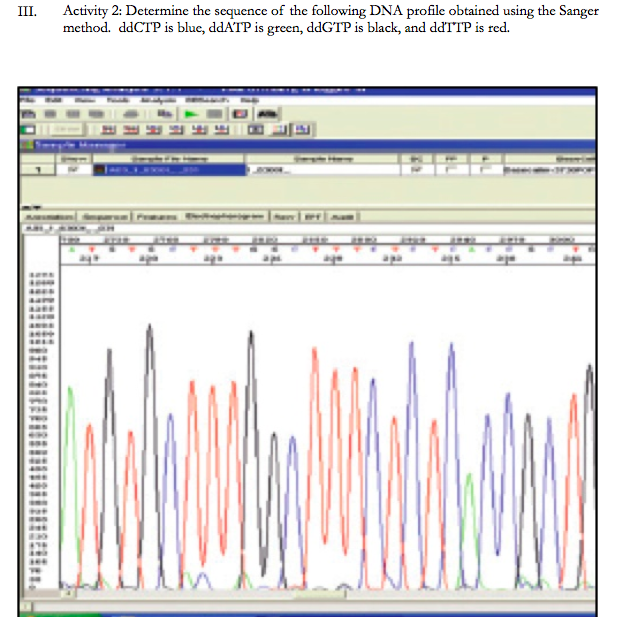 Solved method. ddCTP is blue, ddATP is green, ddGTP is | Chegg.com