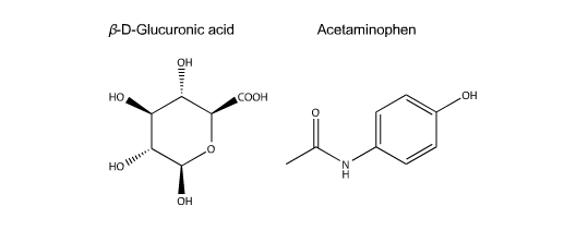 Solved Glucuronidation is an important metabolic process | Chegg.com
