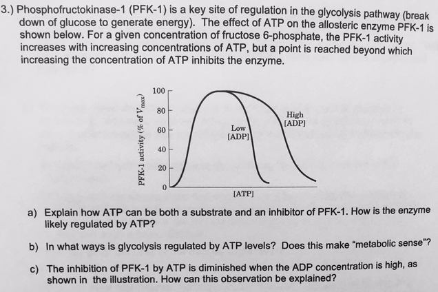 Solved 3.) Phosphofructokinase-1 (PFK-1) is a key site of | Chegg.com