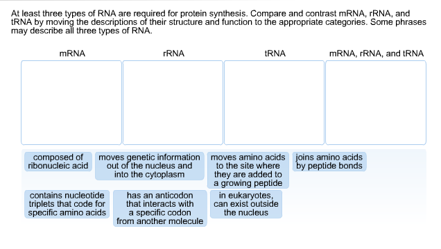 Structure And Types Of Rna Rna Ribonucleic Acid Basics Of Molecular