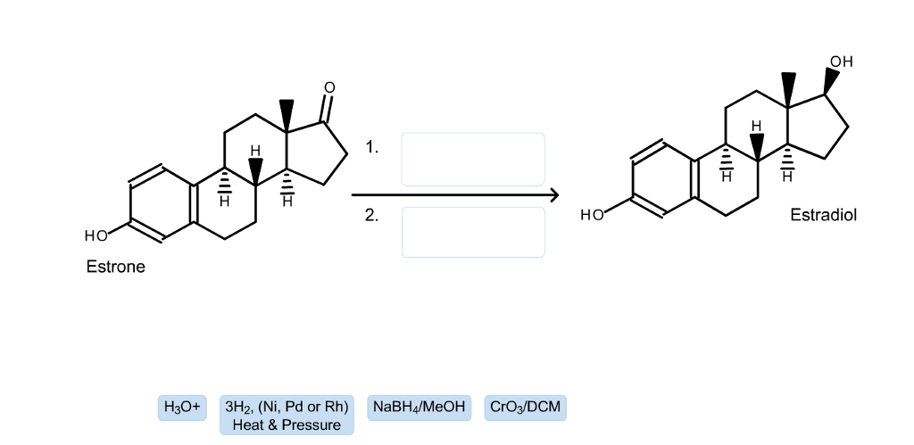 Solved Low levels of certain types of estrogens in the body | Chegg.com