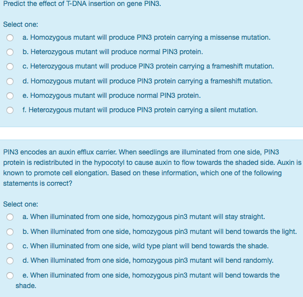 Solved Predict the effect of T-DNA insertion on gene PIN3. | Chegg.com