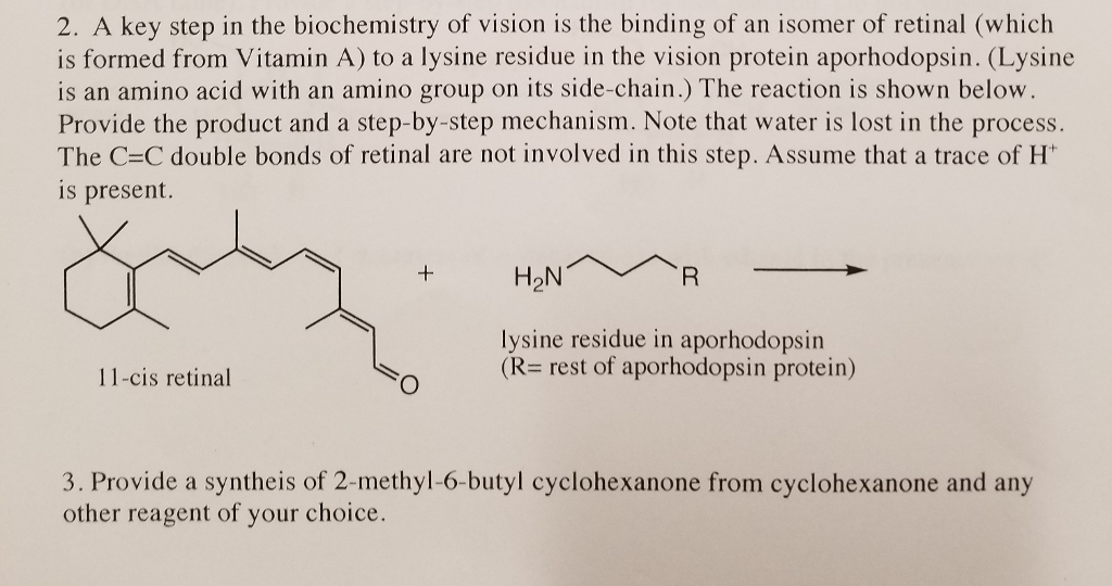 Solved 2. A key step in the biochemistry of vision is the | Chegg.com
