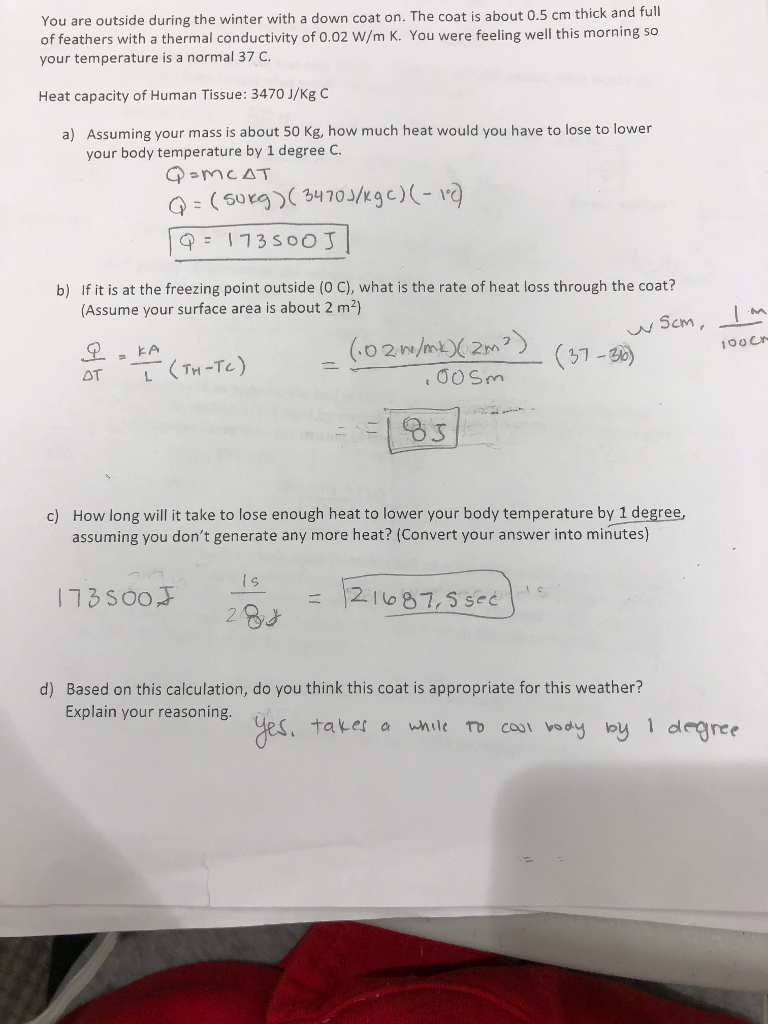 Solved not sure if these answsers are right..can someone | Chegg.com