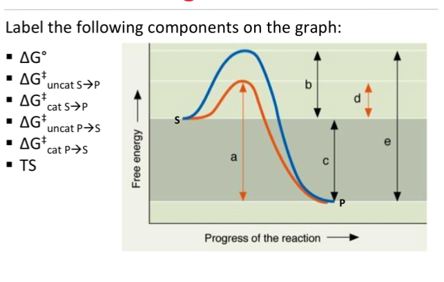 Solved Label the following components on the graph: Delta G | Chegg.com
