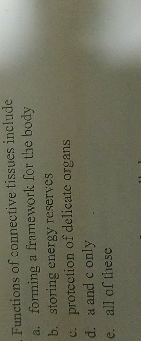 Solved Functions of connective tissues include a. forming a | Chegg.com