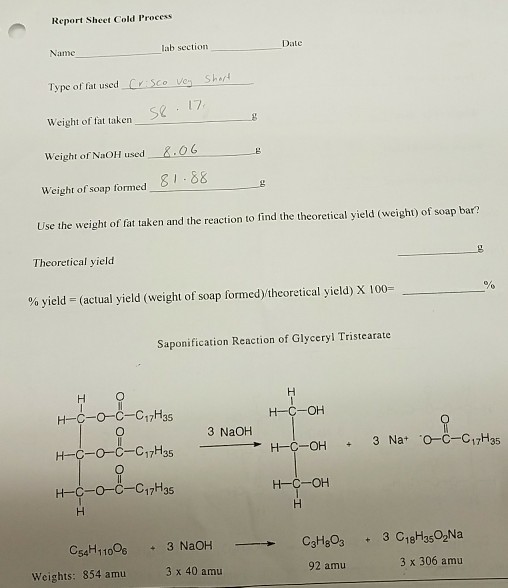 Solved Report Sheet Cold Process Name lab section Datc Type | Chegg.com