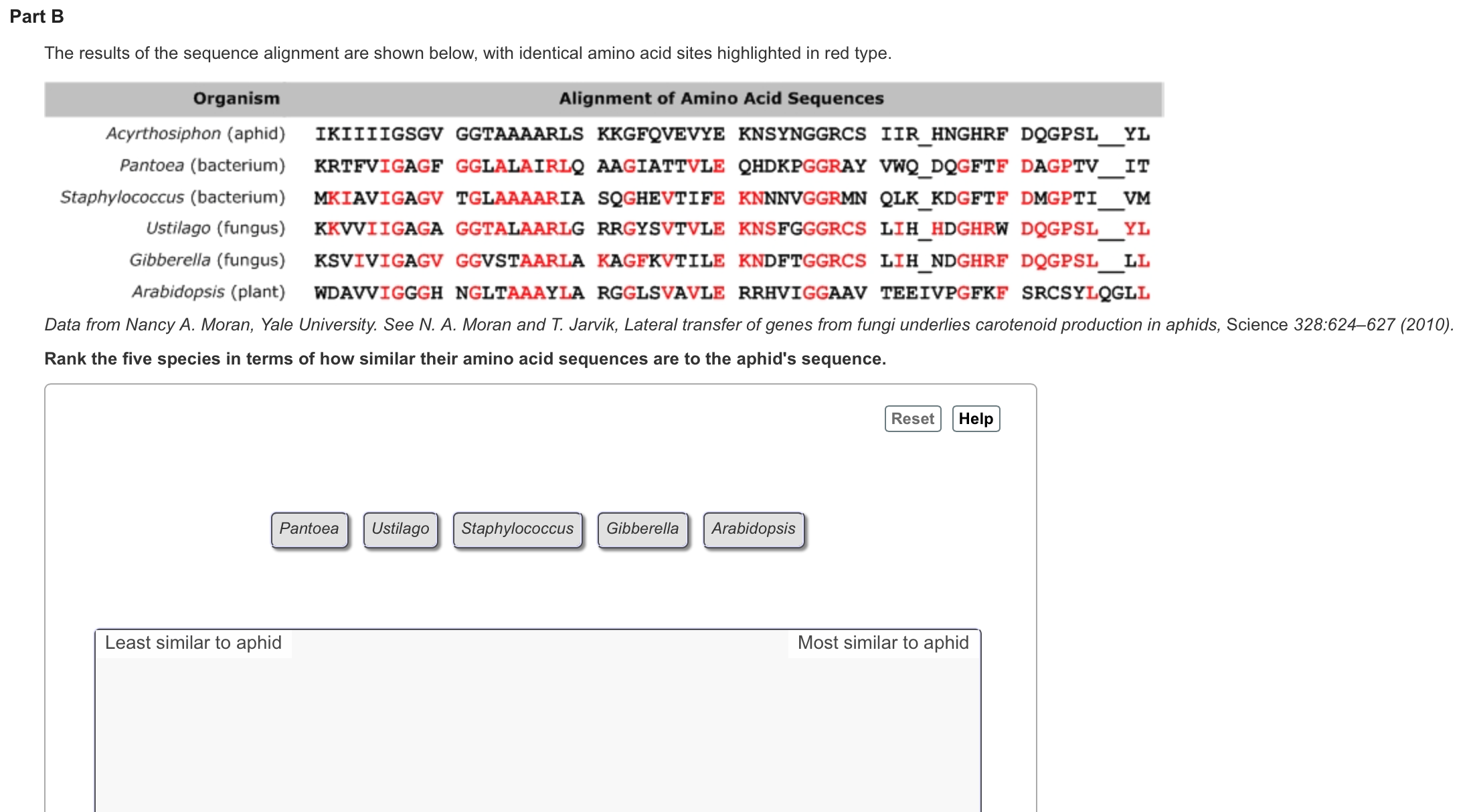 Solved Question 2 Did aphids acquire their ability to make | Chegg.com