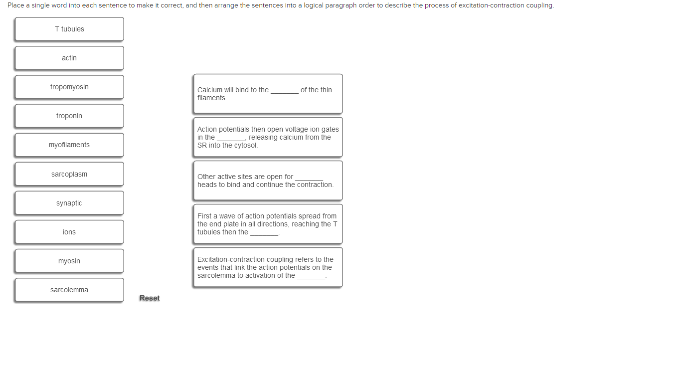 Solved place a single word into each sentence to make it | Chegg.com