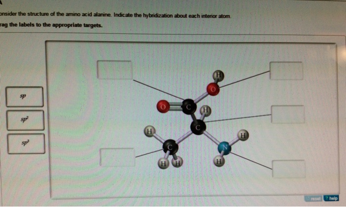 Solved onsider the structure of the amino acid alanine. | Chegg.com