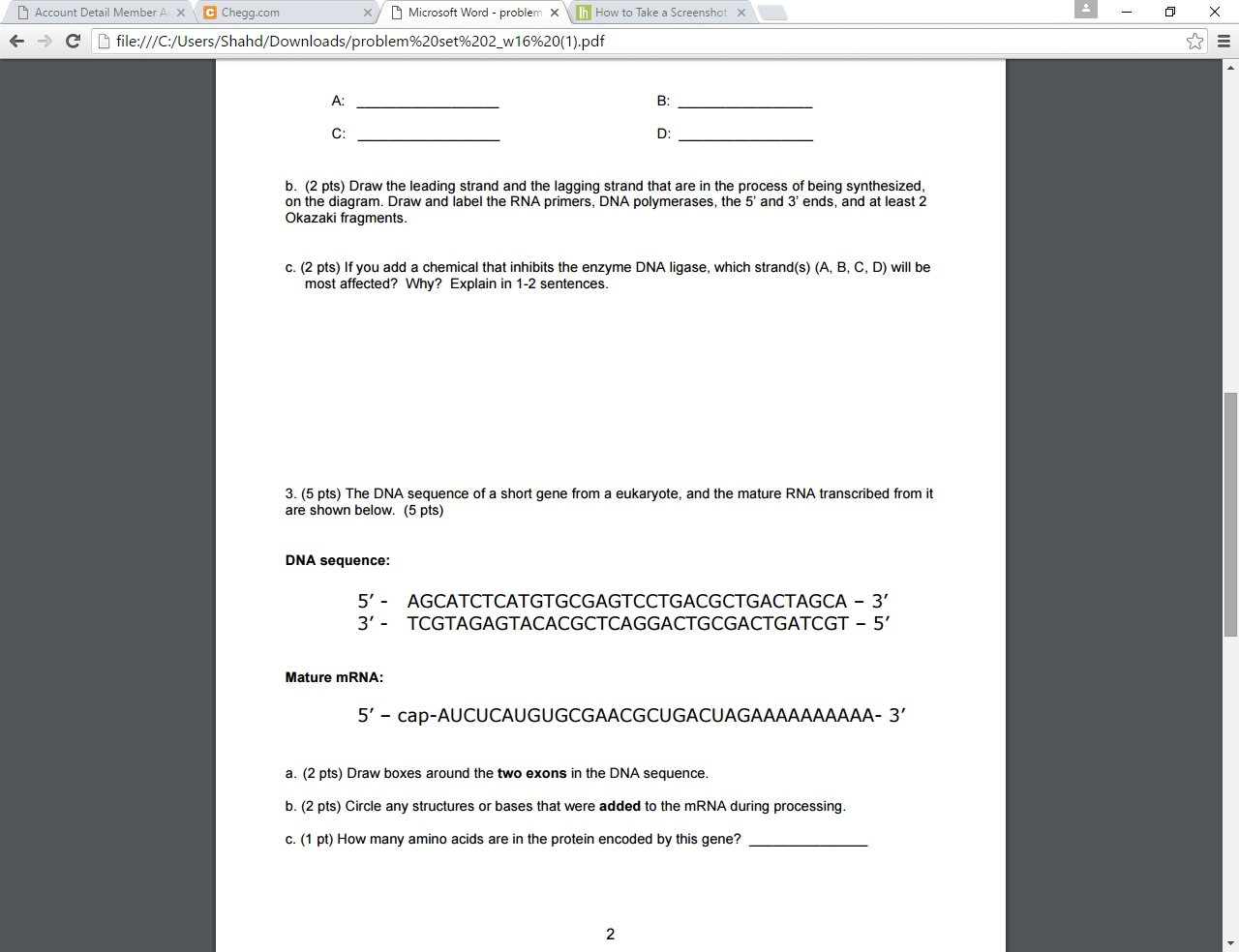 Solved Hello, I'm a biology student I need help with this | Chegg.com