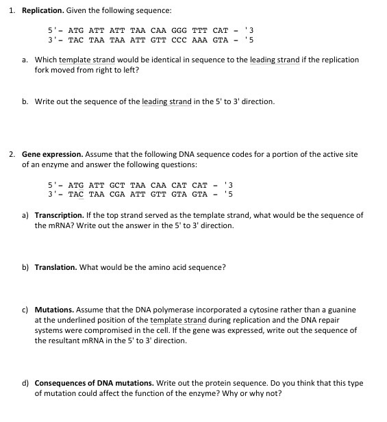 Solved Given the following sequence: Which template strand | Chegg.com