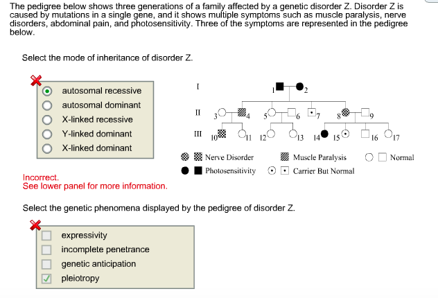Solved The pedigree below shows three generations of a | Chegg.com