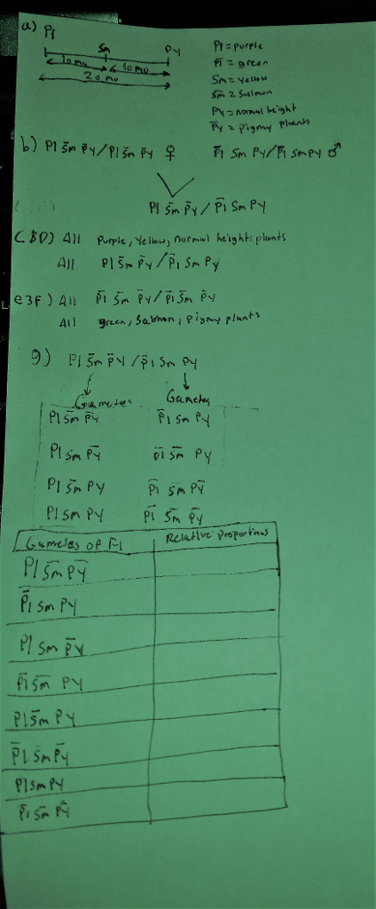 Solved Parts a, b c, d, e, f are done and correct by the | Chegg.com