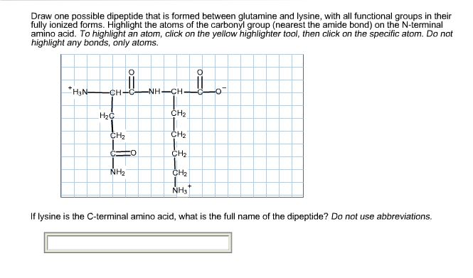 Solved Draw one possible dipeptide that is formed between | Chegg.com