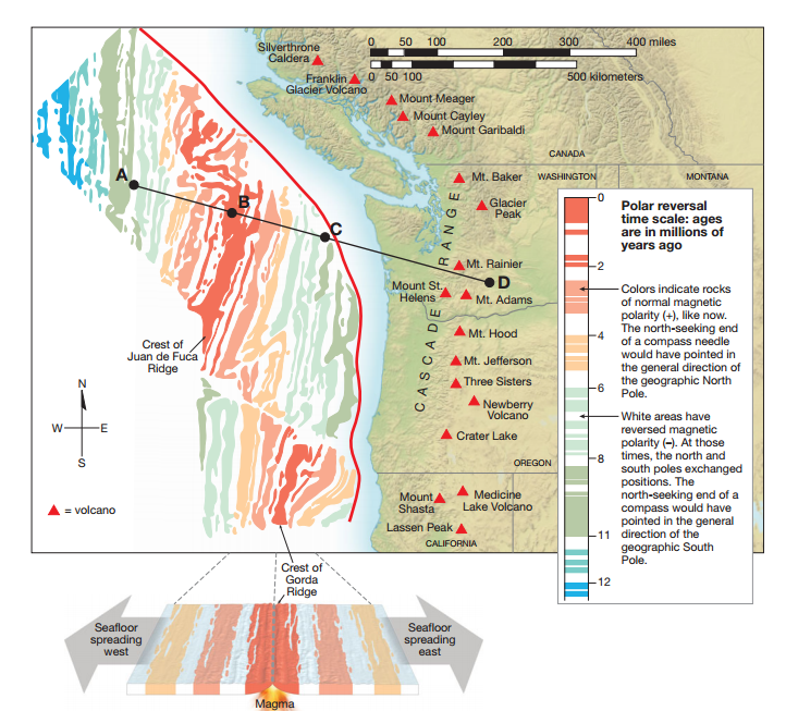 Solved Crest of Juan de Fuca Ridge A *volcano Seafloor | Chegg.com