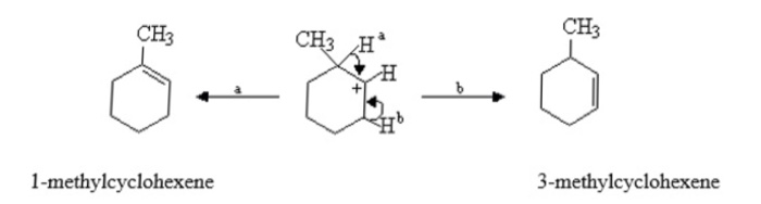 Solved Of the two isomers which is the major and which is | Chegg.com