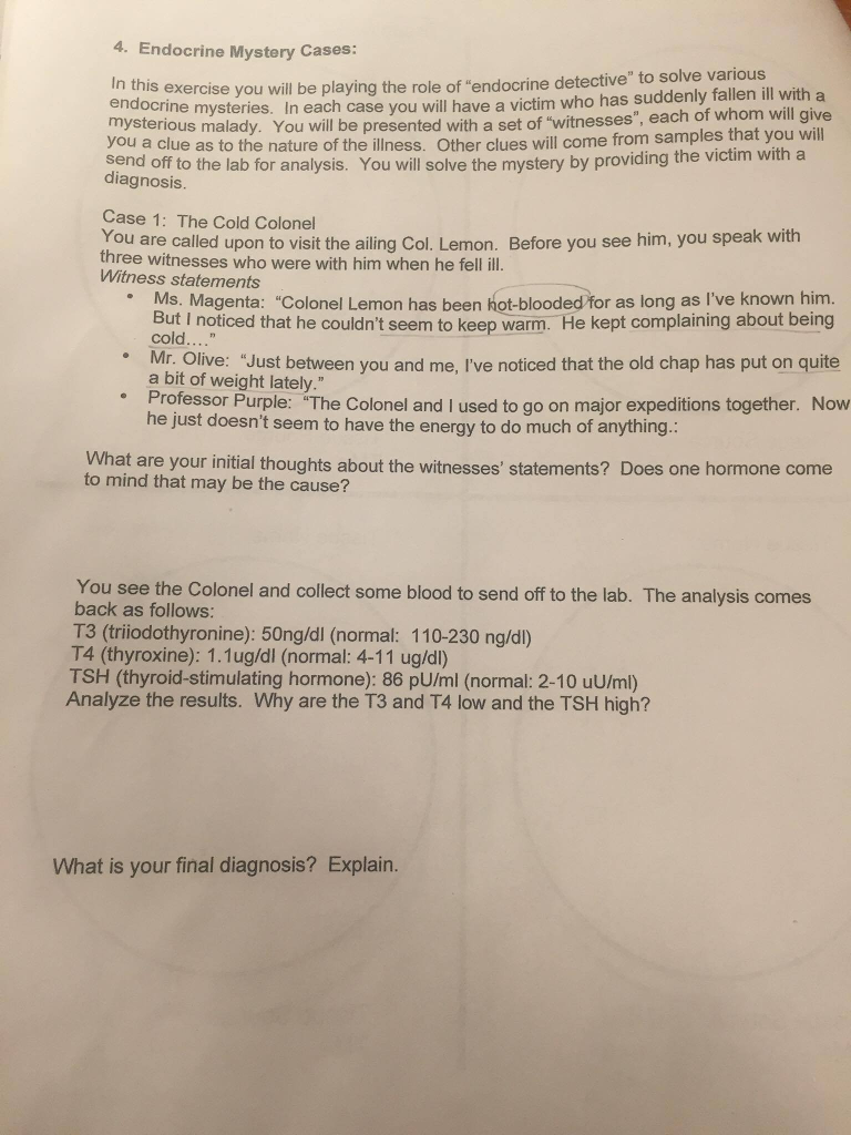 Solved 4 Endocrine Mystery Cses Exercise You Will Be