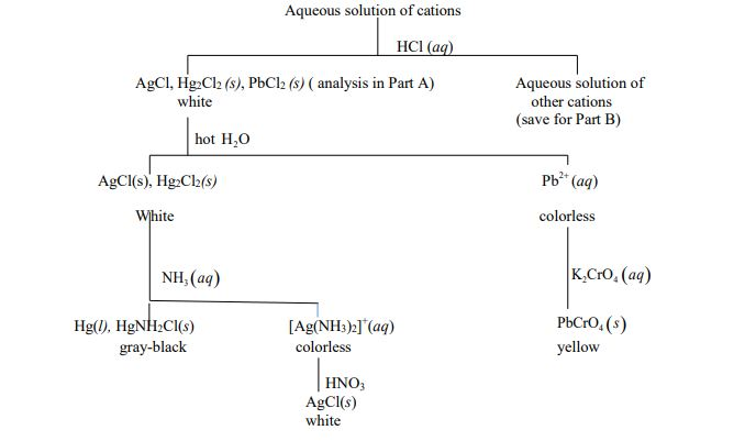 Solved Aqueous solution of Cations that did not precipitate | Chegg.com