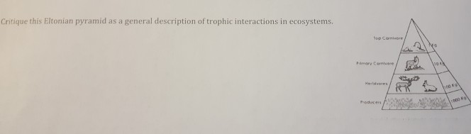 Solved Critique this Eltonian pyramid as a general | Chegg.com